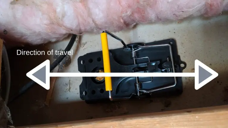 How To Set Up A Mouse Trap [Pictures] Complete Guide - DIY Rodent Control