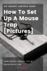 How To Set Up A Mouse Trap [Pictures] Complete Guide - DIY Rodent Control