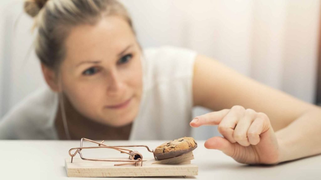 Homemade Mouse Repellent - 7 Essential Options - DIY Rodent Control