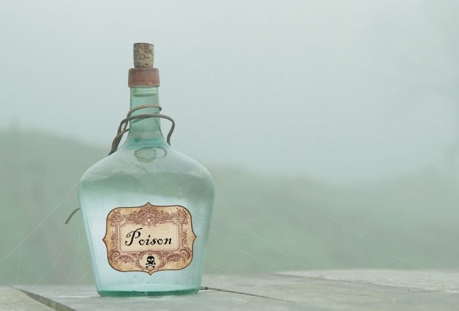 How To Get Rid Of Mice In The Basement - 5 Ways - DIY Rodent Control