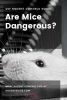 8 Reasons Why Mice Are Dangerous - DIY Rodent Control
