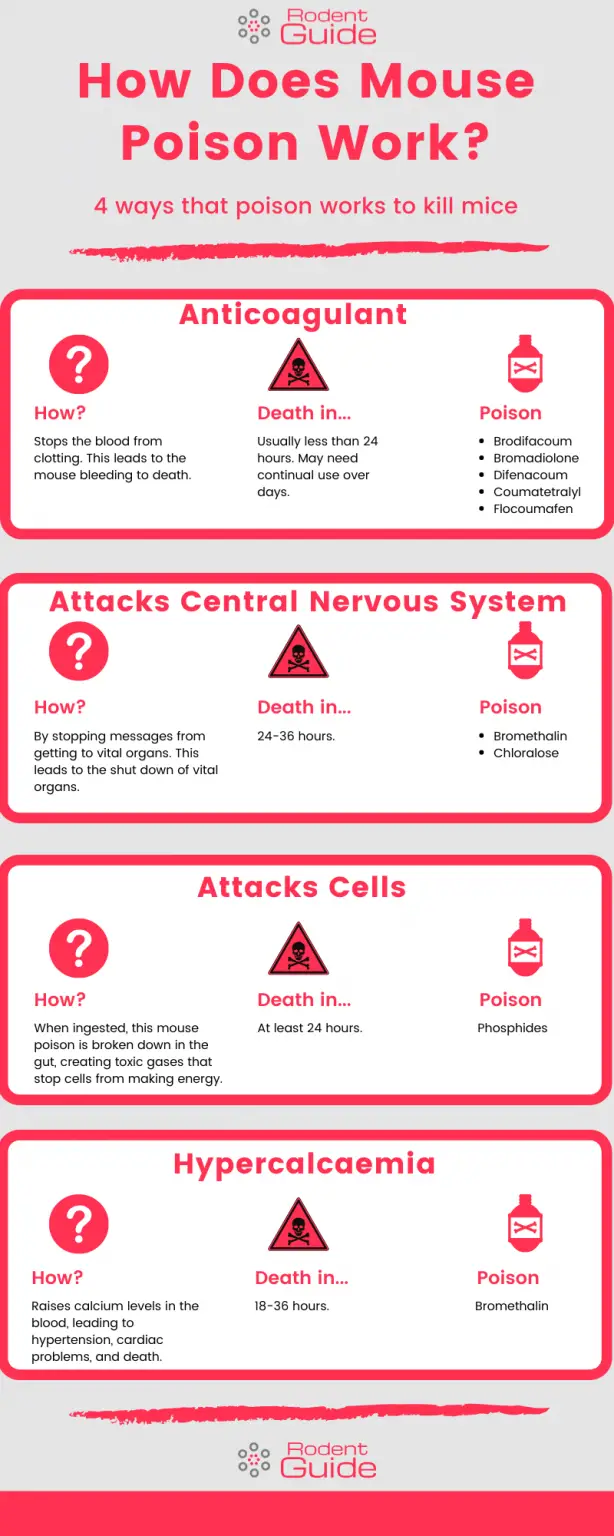How Does Mouse Poison Work - DIY Rodent Control