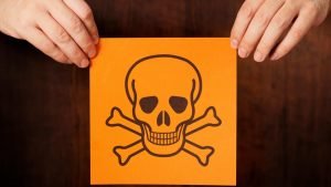 How To Use Rat Poison Responsibly - 5 Rules - DIY Rodent Control