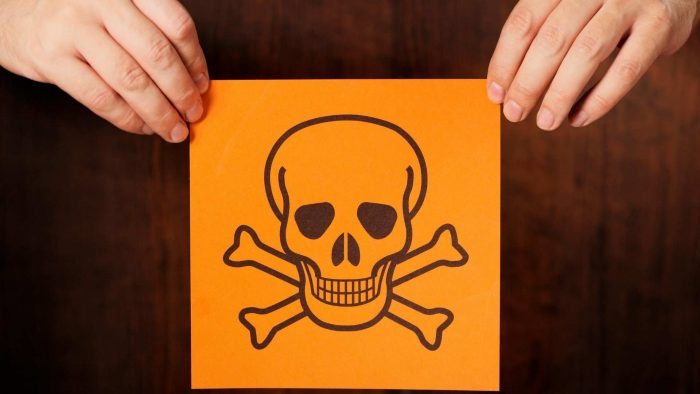 5 Homemade Rat Repellent Options That Work - DIY Rodent Control