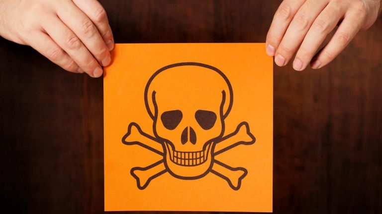 5 Homemade Rat Repellent Options That Work - DIY Rodent Control