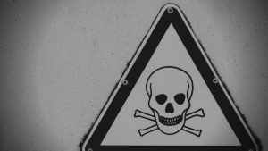 How Does Rat Poison Work? What Does It Do to Rats? - DIY Rodent Control