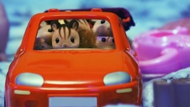 Deterring Squirrels From Cars – 7 Tips For Success - DIY Rodent Control