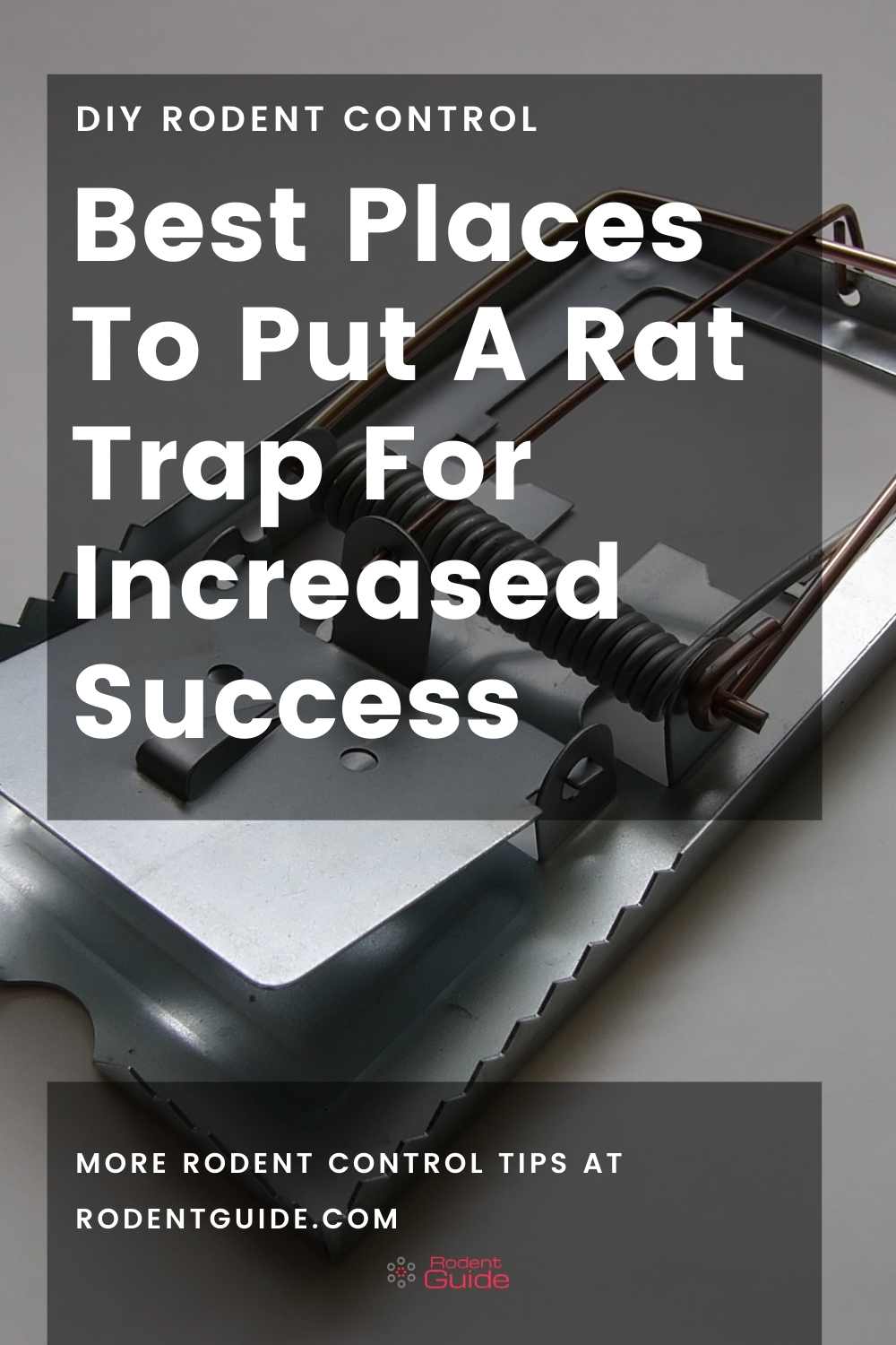 Best Places To Put A Rat Trap For Increased Success - DIY Rodent Control