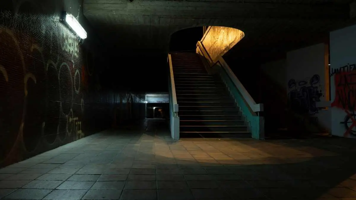 Best Places To Put A Rat Trap For Increased Success - DIY Rodent Control