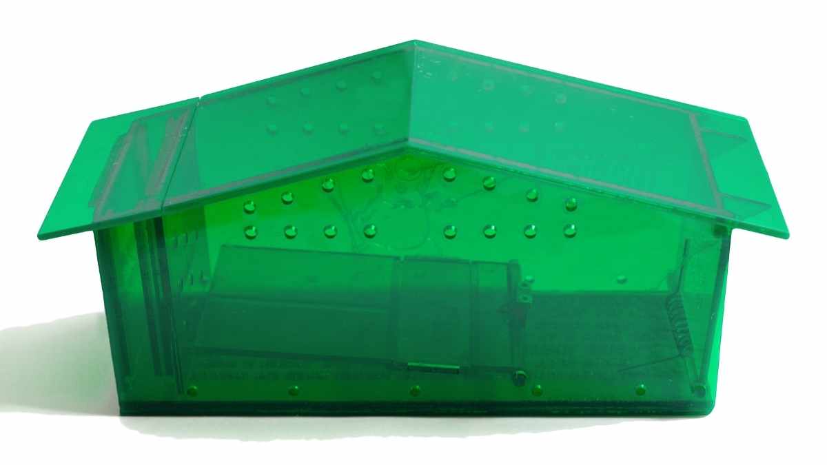 Can You Reuse Mouse Traps? Here Is Our Guide - DIY Rodent Control