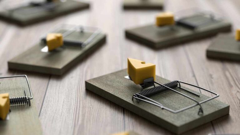 Setting Mouse Traps - A Beginner's Guide - DIY Rodent Control