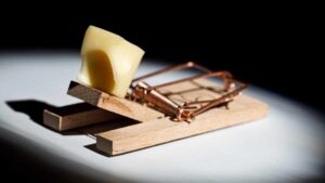 Setting Mouse Traps - A Beginner's Guide - DIY Rodent Control