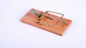 Setting Mouse Traps - A Beginner's Guide - DIY Rodent Control