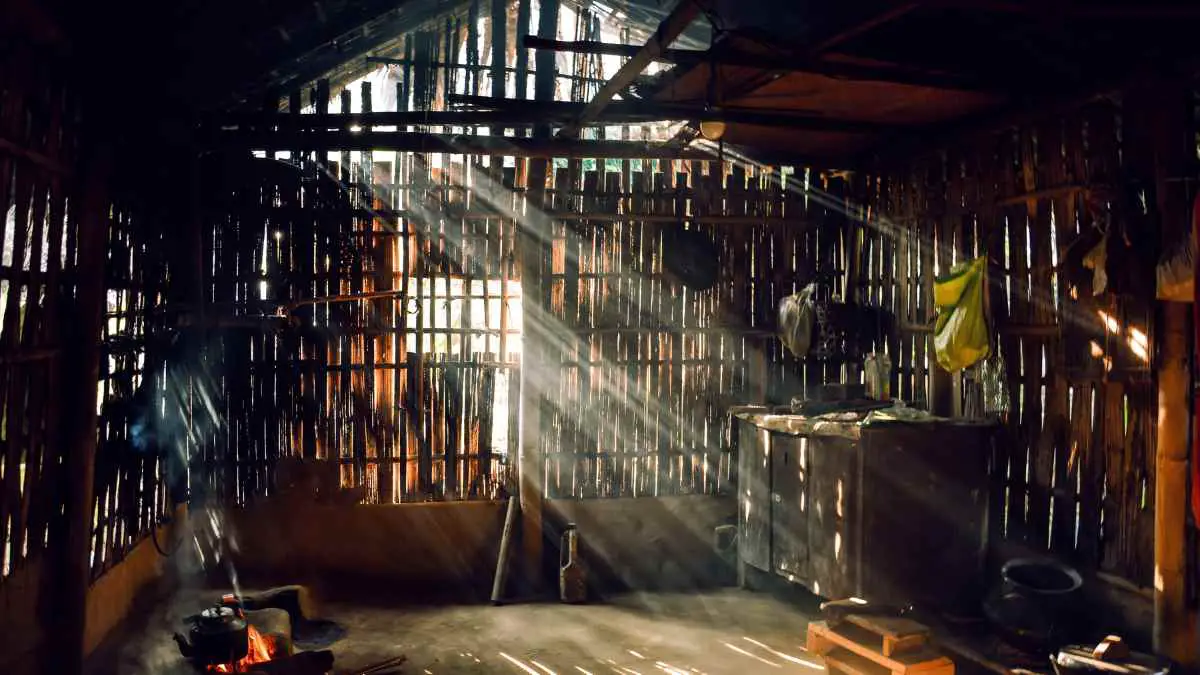 How To Get Rid Of Rats In A Barn - DIY Rodent Control